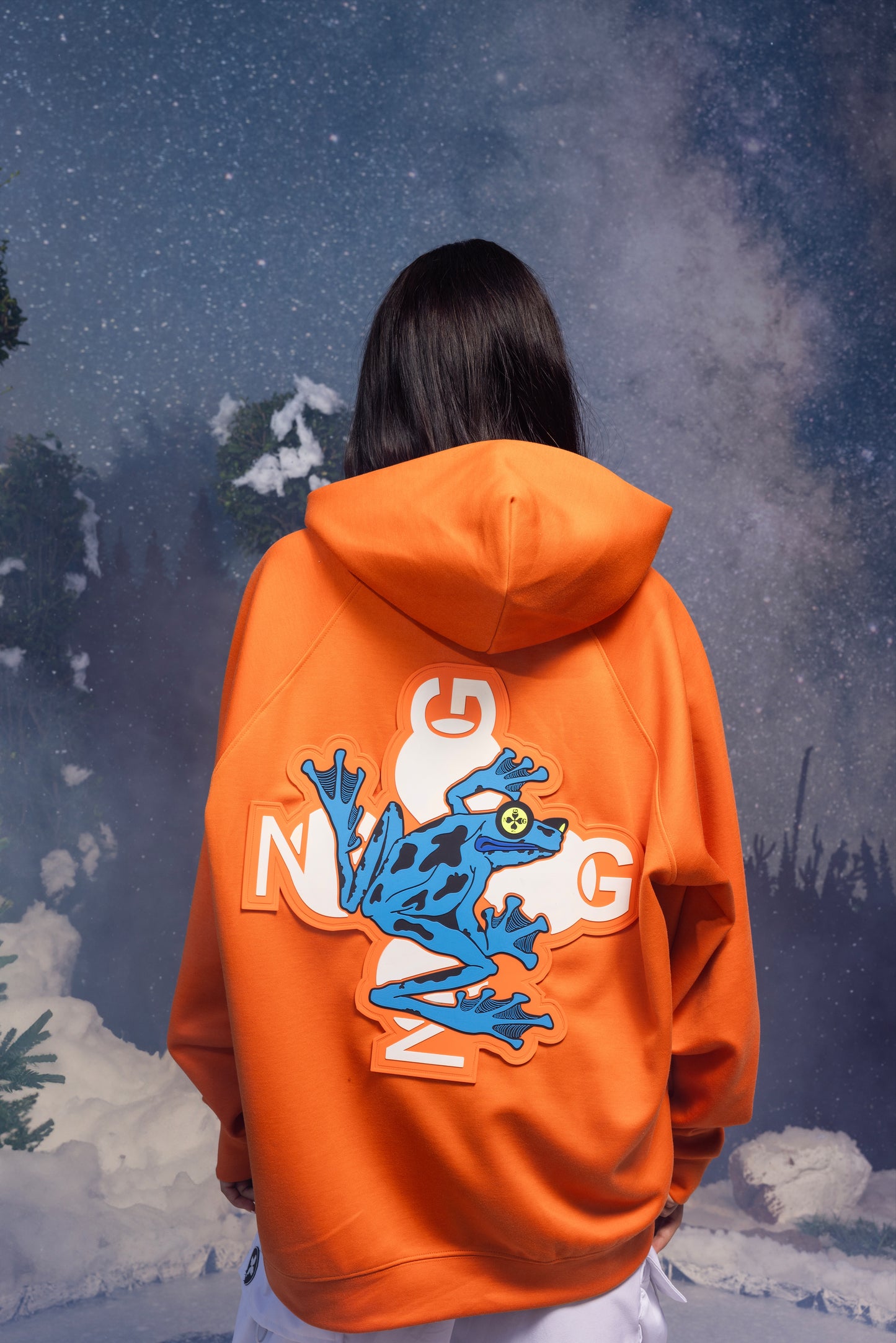 FROG LOGO HOODIE – NATTY GARB
