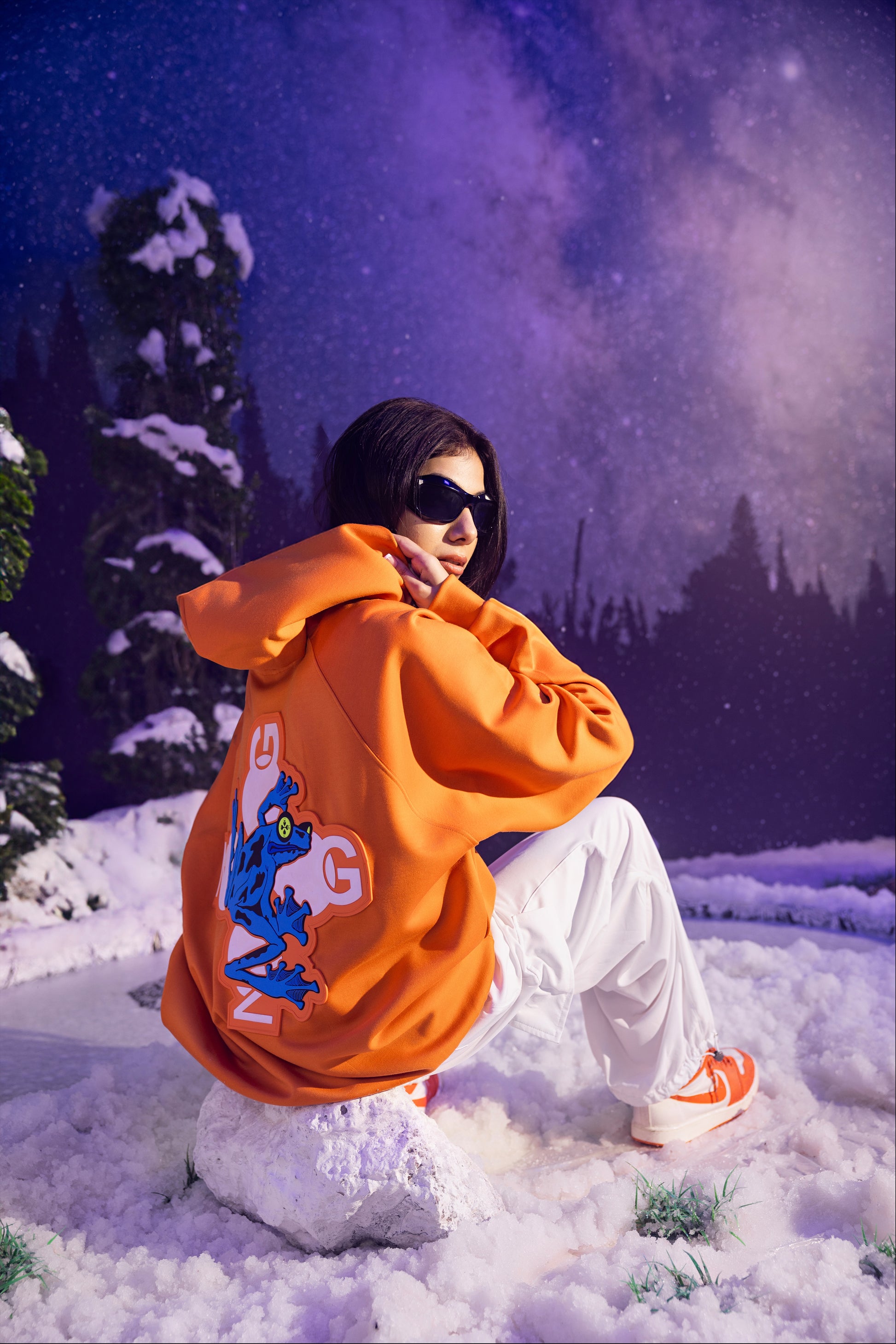 FROG LOGO HOODIE – NATTY GARB